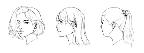 How To Draw A Ponytail On A Person