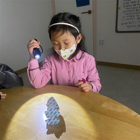 [6세 과학] 빛과 그림자 1탄 지그재그 빛 네이버 블로그