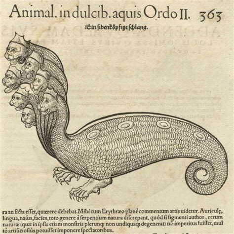 Polycephaly Music Available For Licensing