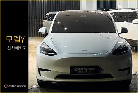 테슬라 모델y 신차패키지 윈도 틴팅 티나인r70 썬팅후기 네이버 블로그