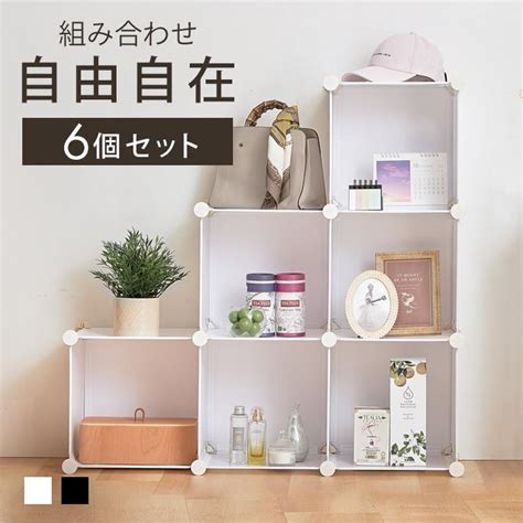 収納 収納ボックス 棚 本棚 組み立て式 収納棚 ラック 大容量 軽量 Pp収納ボックス 6p 0406510 0406520d ゆに
