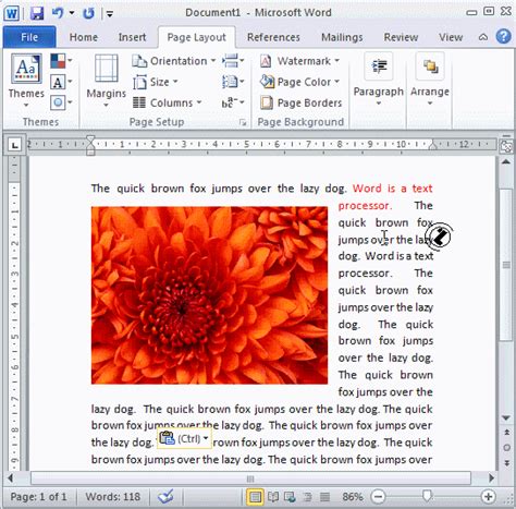 WORD 2010 MOUSE POINTER Changing PICTURE POSITION
