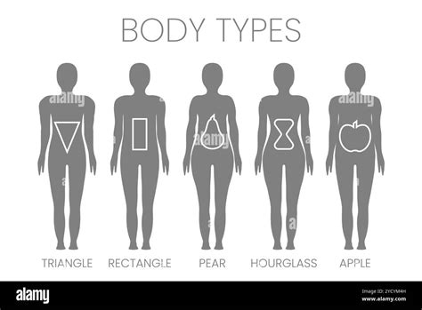 Gender Neutral Body Shape Types Triangle Rectangle Apple Pear And