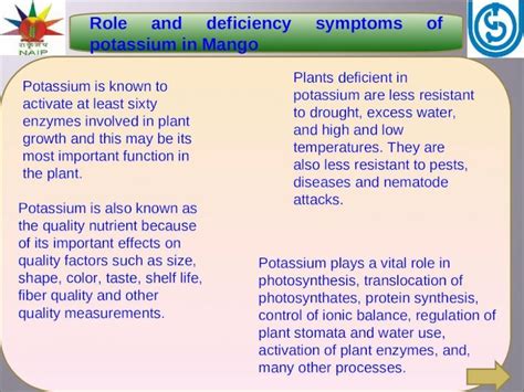 Ppt Role And Deficiency Symptoms Of Potassium In Mango Dokumentips