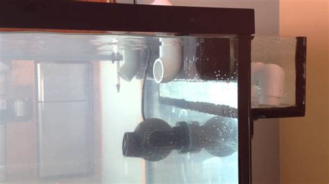 What Is An Overflow In An Aquarium At James Pappas Blog