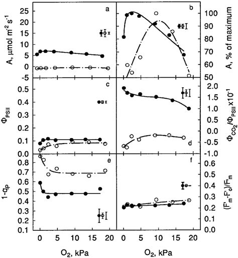 O 2 Effects On The Net Co 2 Assimilation A Net Co 2 Assimilation As