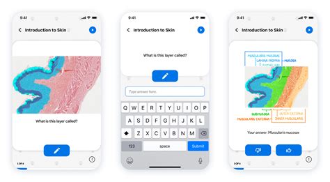 Mobile Flashcard App Nichole Albright