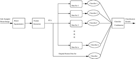 Experimental Method Overview Download Scientific Diagram