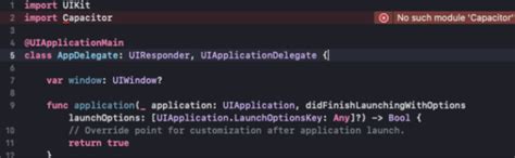 Ionicでxcodeでビルドできない時の対処方法 今日から始める電子工作