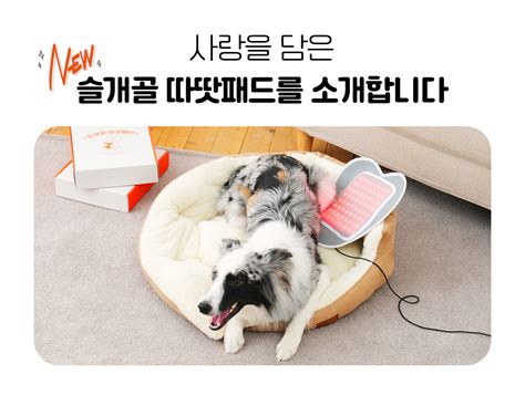 시리어스펫 슬개골 따땃패드 주식회사 파이헬스케어
