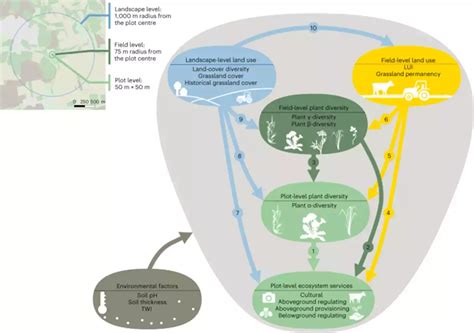 The Supply Of Multiple Ecosystem Services Requires Biodiversity Across