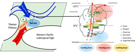 Frontiers A Study Of Cloud Microphysical Processes And A Mesoscale