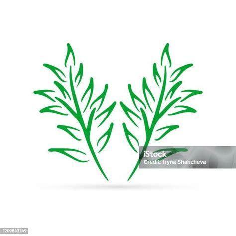흰색 에코 로고 어린이 손 그리기 아트 라인 봄 여름 가을 잎의 번들 스티커 스케치 벡터 스톡 일러스트에 고립 된 잎 아이콘과 개요 분기 0명에 대한 스톡 벡터 아트 및