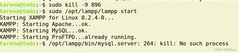 ubuntu下xampp的apache无法成功启动怎么办？ xampp ubuntu csdn博客