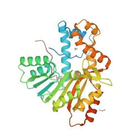 Private Bioinformatics Services At Month In Bengaluru ID