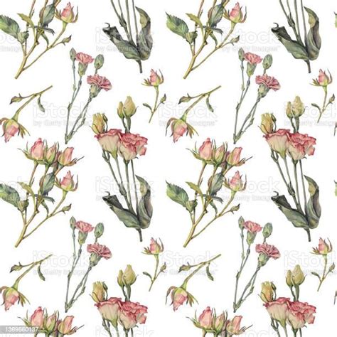 매끄러운 패턴 수채화 핑크 장미 싹과 카네이션과 녹색 잎은 흰색 배경에 고립 되어 있습니다 봄 여름 손으로 그린 꽃 결혼식 3 월 8 일 축하 엽서 스티커용 예술 꽃 식물에