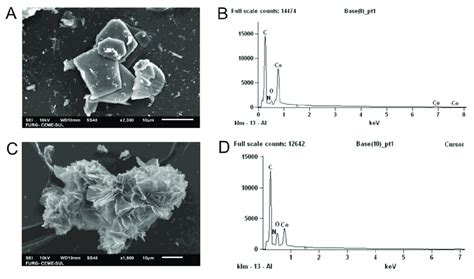 Sem Eds Results Obtained For Compound 5 A B And For Compound 4 C D Download Scientific