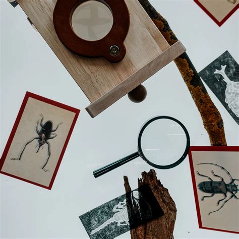 Wooden Microscope By Qtoys