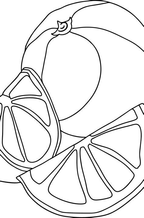 Orange Coloring Pages Download Print And Color Online