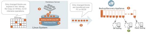 Backup And DR Service For MariaDB Google Cloud