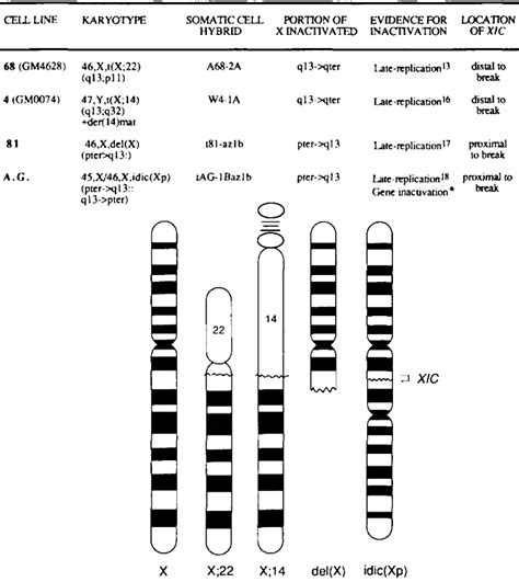 Chromosome Abnormalities List