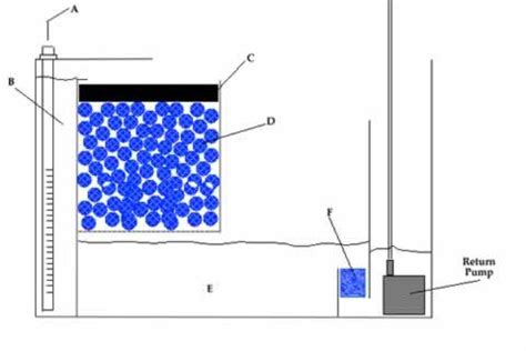 Wet Dry Filter How Wet Dry Filters Work Aquaponics Supplies Aquaponics Wet And Dry