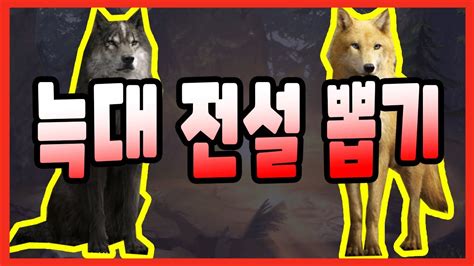 울프게임 더 와일드 킹덤 대량 뽑기로 전설 얻기 Youtube