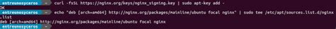 LEMP Nginx MariaDB y PHP instalación en Ubuntu