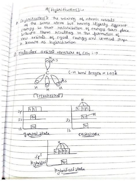 Hybridization Pdf