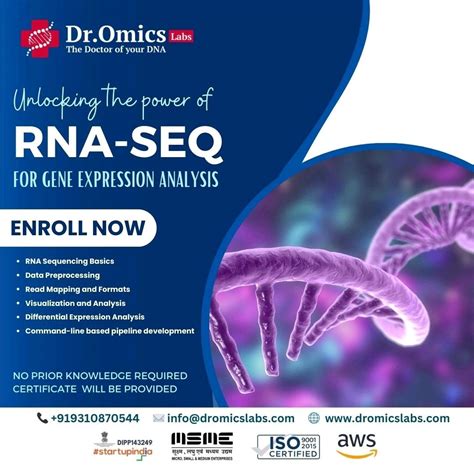 Job Bioinformatics Ngs Dna Sequencing Genomics Genetics Rna