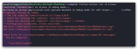common questions · issue 17 · sony flutter elinux · github