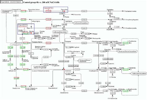 Flavonoid Biosynthesis Pathway Annotated With Degs And Differential