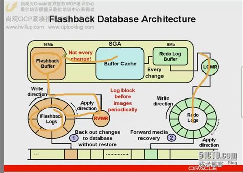 Oracle Study之案例 数据恢复神器flashback3 Csdn博客