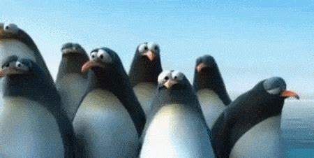 Teamwork  Ice
