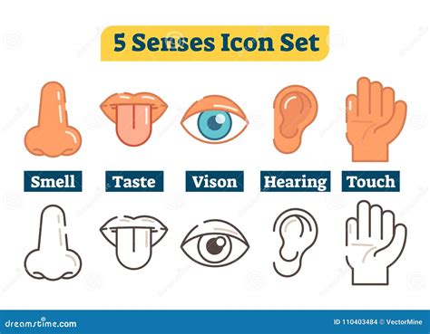 Five Human Body Senses Smell Taste Vision Hearing Touch Vector Flat Illustration Icons