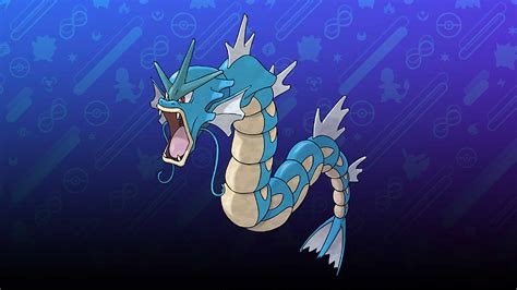 Top 5 Most Expensive Gyarados Pokémon Cards Tcgplayer
