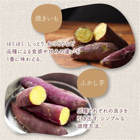 【産地直送】 5種類 栃木県産 さつまいも食べ比べセット 5kg 送料無料 産地直送 食と暮らしにplus らびっとらん