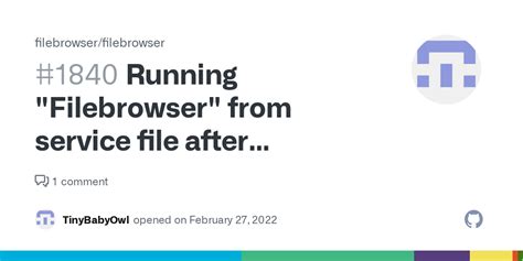 Running Filebrowser From Service File After Configuring DB Doesn T Work Issue