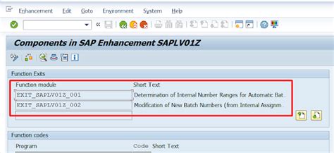 Adding Custom Logic To SAP Batch Numbering System