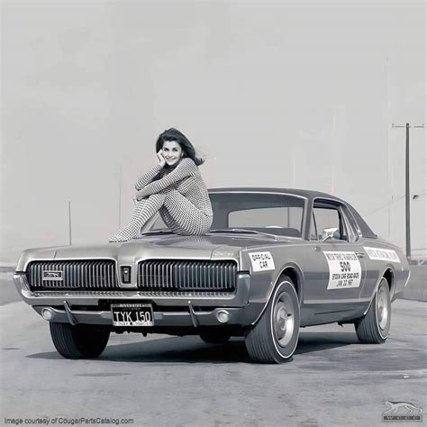 Grille Restoration Starter Package Restored ~ 1967 Mercury Cougar