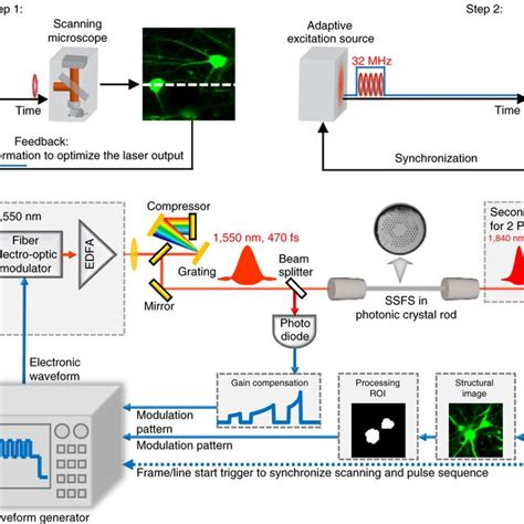 The Aes For Mpms A Working Principle The Creation Of The Aes Consists Download Scientific