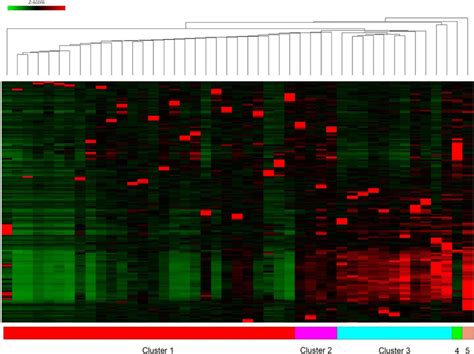 hierarchical clustering plot of 100 most variably expressed genes in