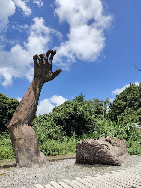 Premium Photo Pinaceae