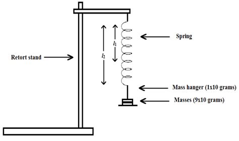 Elasticity Experiment Application Of Hooke S Law FreebookSummary