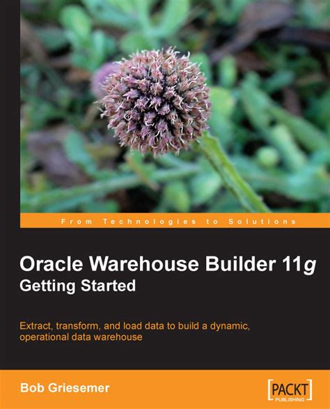 defining and importing source data structures oracle warehouse