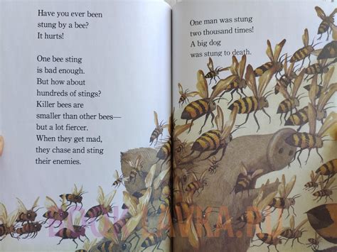 Step Into Reading Monster Bugs Step China купить в интернет магазине Booklavka Буклавка