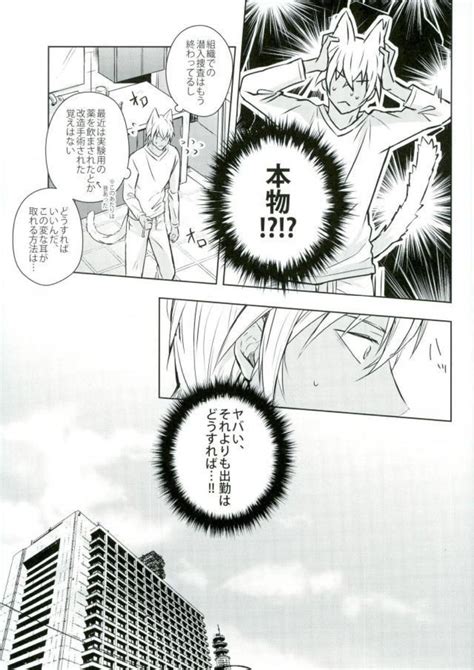 [fox Trap Mu Ya ] Chimeiteki Na Miryoku Detective Conan Dj [jp