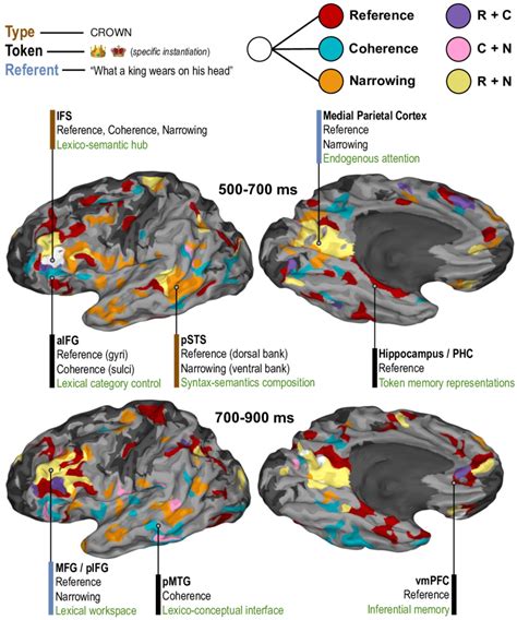 Summary Model For Distinct Components Of Linguistic Meaning Download Scientific Diagram