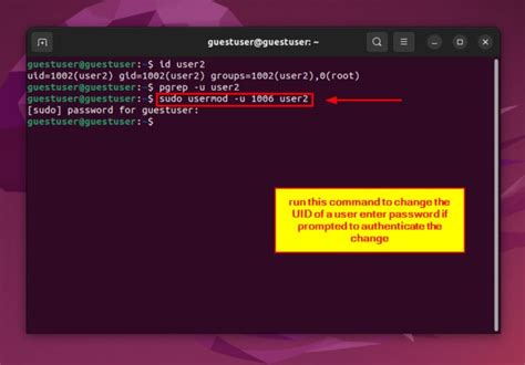 How To Find Uid Of A User In Linux 3 Best Methods
