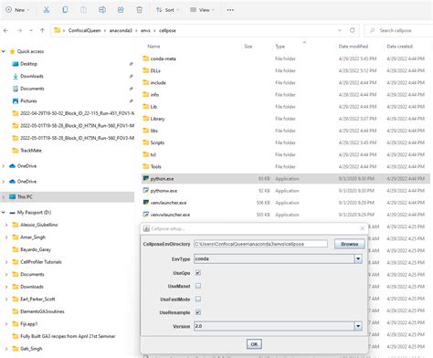 Fiji Cellpose Plugin Not Working Usage And Issues Imagesc Forum